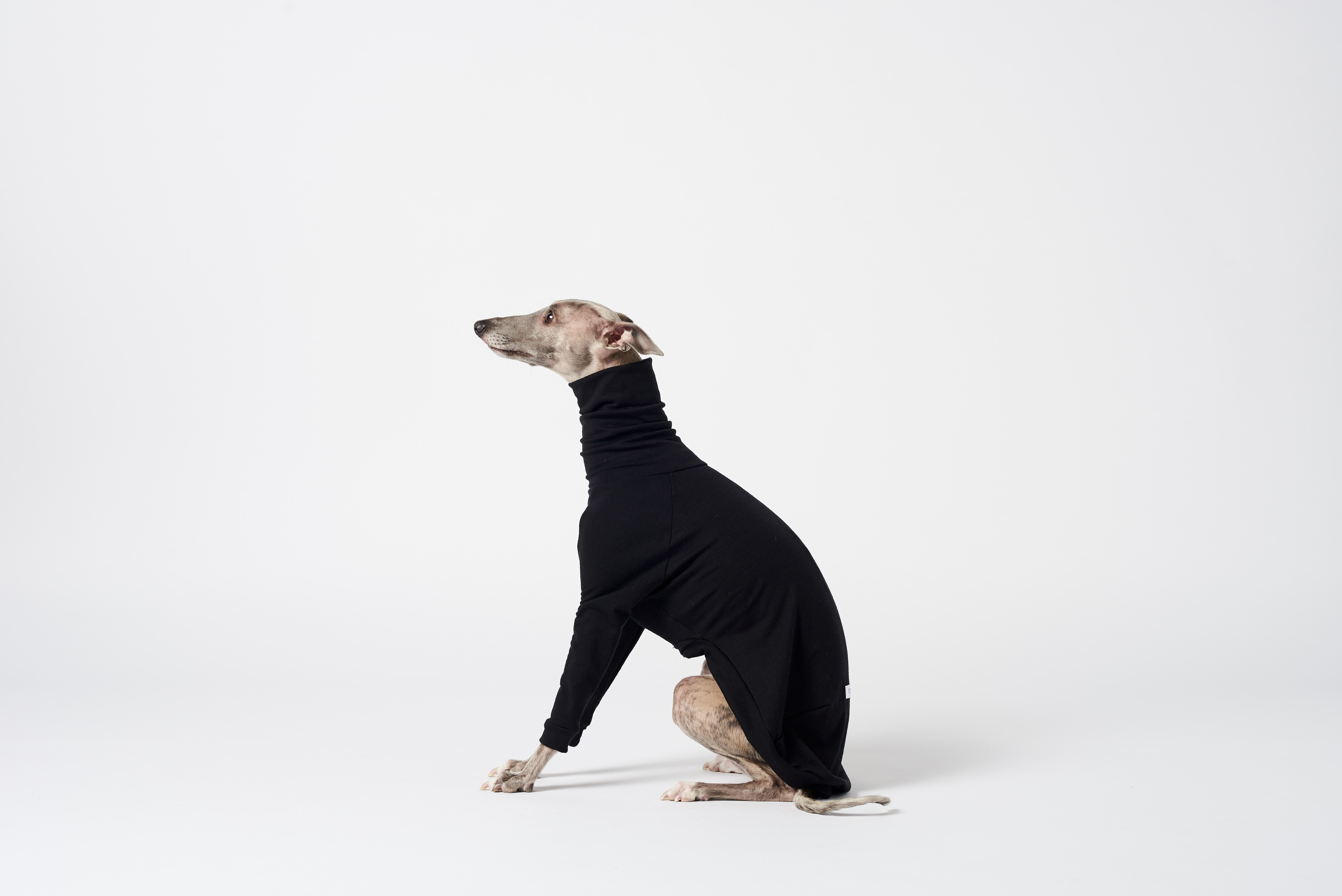 MADE IN MELBOURNE – Jamie Ferris-May